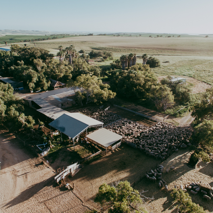 Contact – Homestead Road